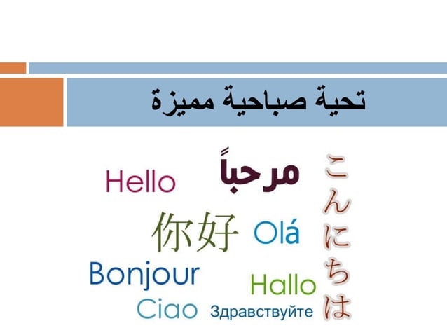 Social Accountability Training with QADER | PPT