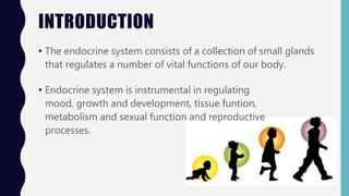 endocrine system | PPT