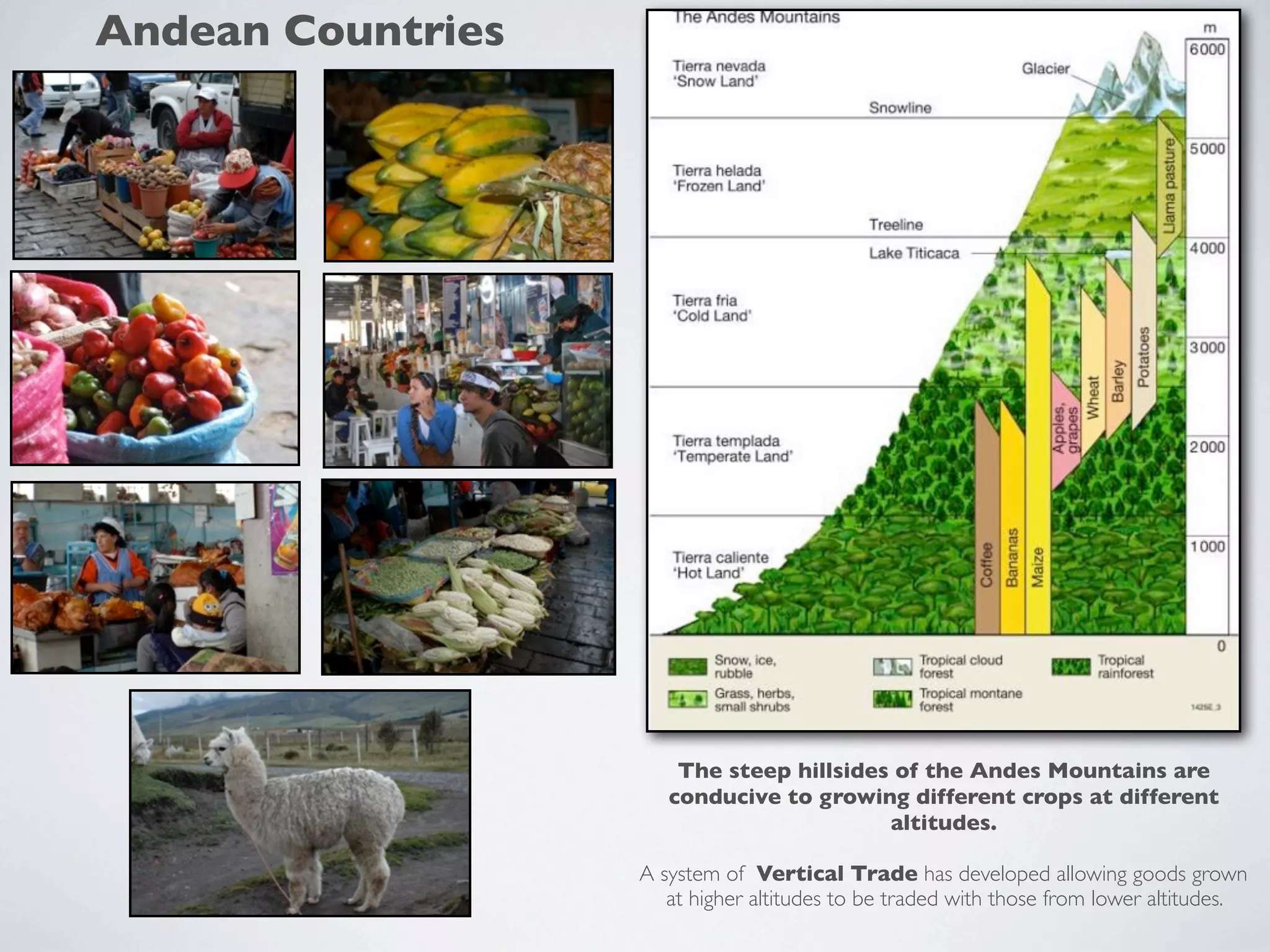 South America - Andean Countries | KEY
