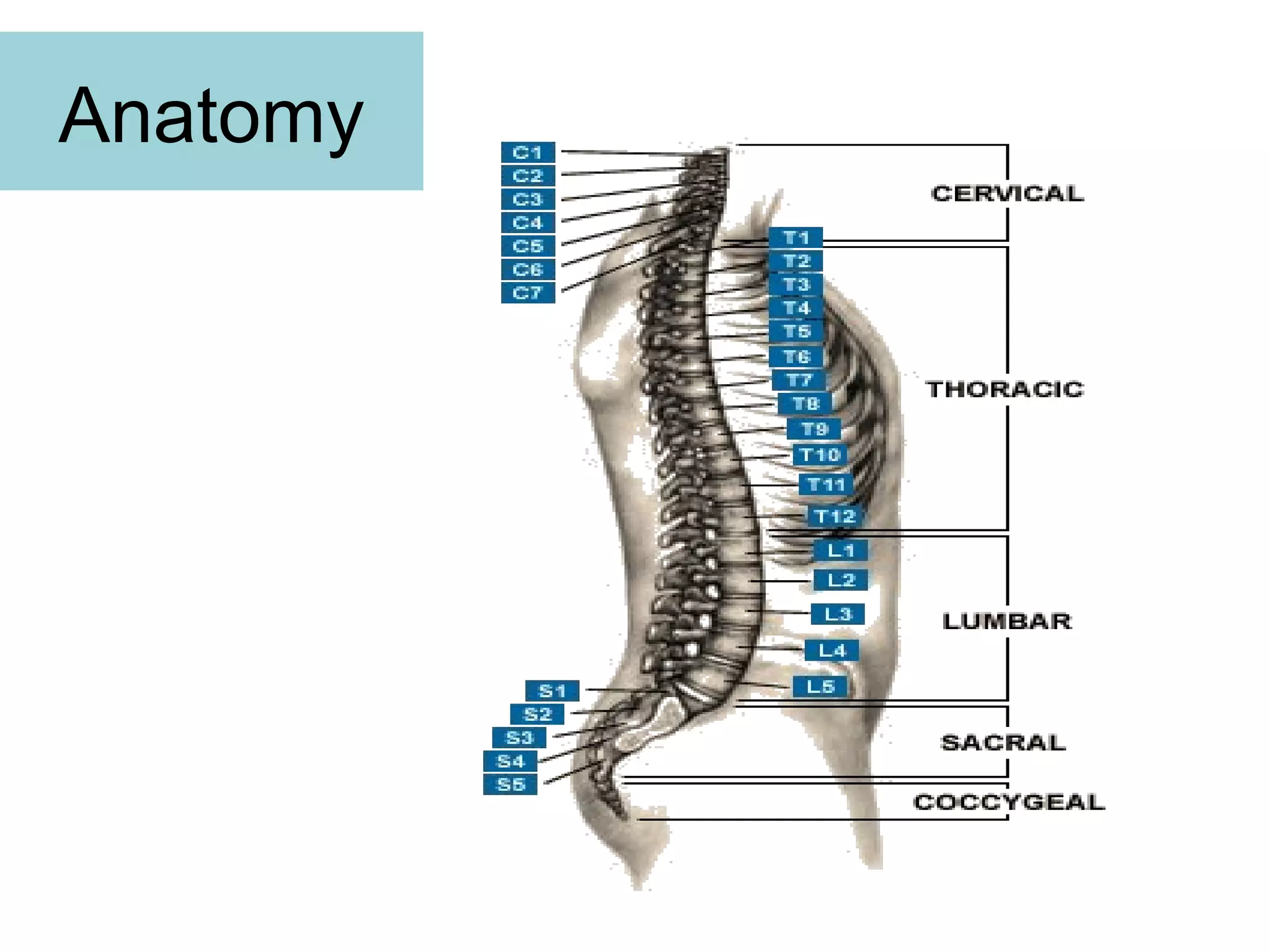 SPINAL ANAESTHESIA | PPT