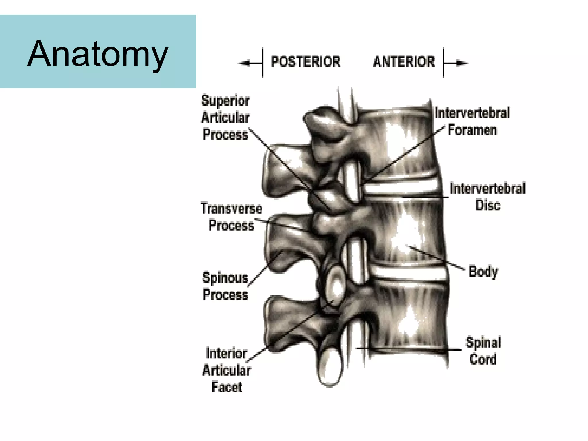 SPINAL ANAESTHESIA | PPT