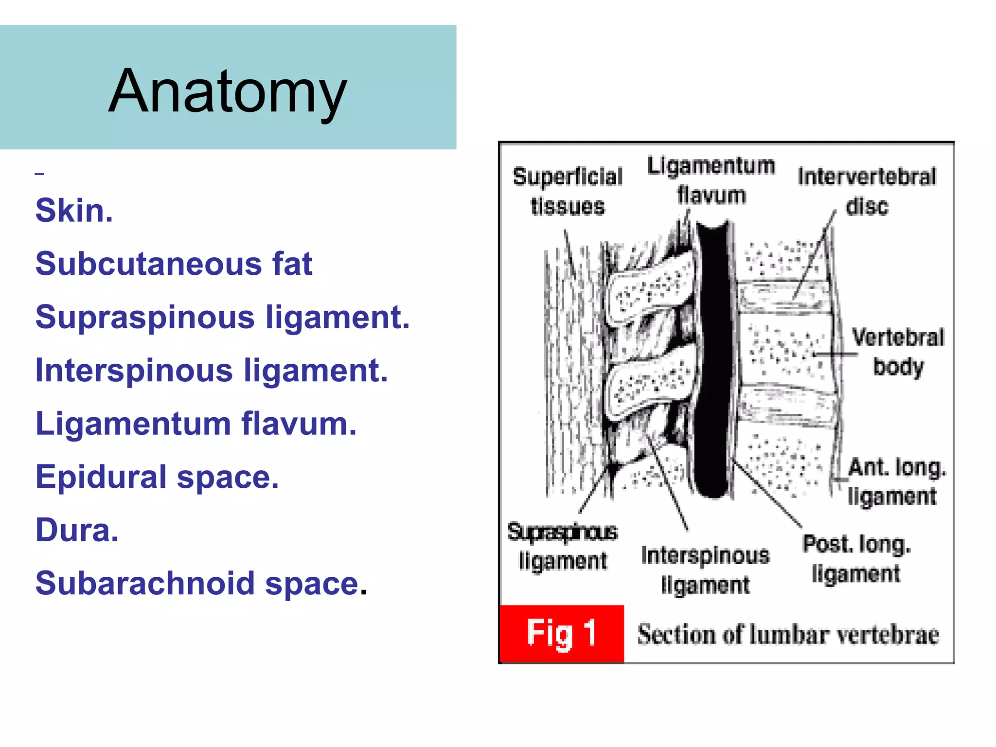 SPINAL ANAESTHESIA | PPT