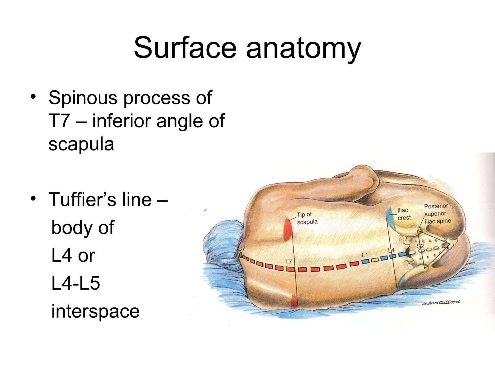 SPINAL ANAESTHESIA | PPT