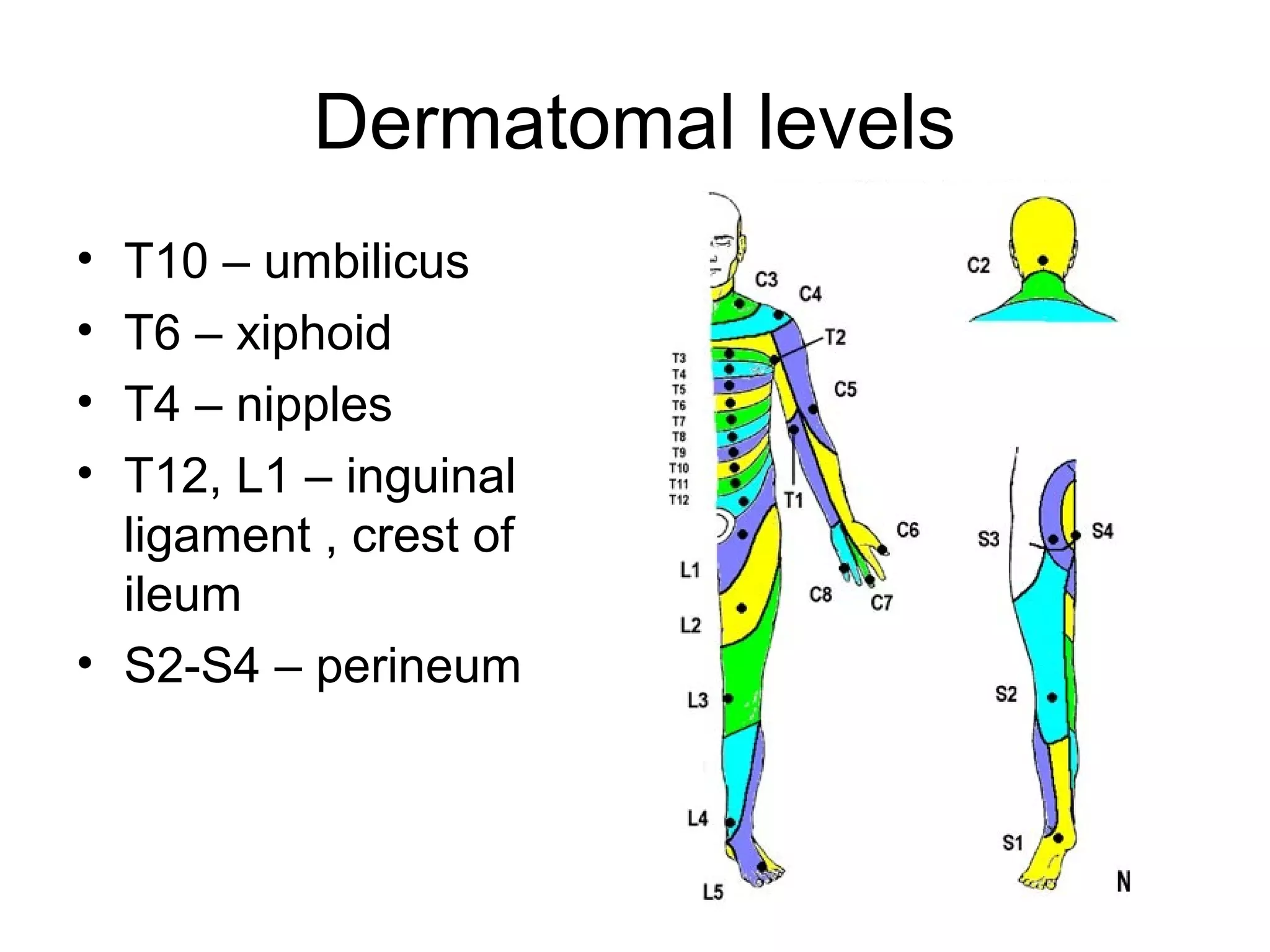 SPINAL ANAESTHESIA | PPT