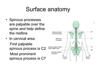 SPINAL ANAESTHESIA | PPT