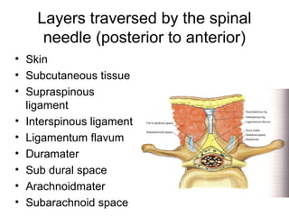 SPINAL ANAESTHESIA | PPT