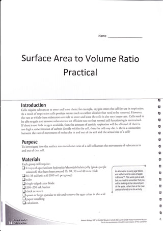 SA:V prac | PDF