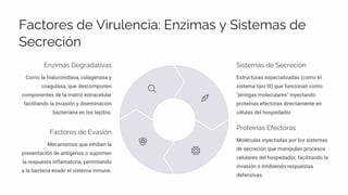 SA 02- Mecanismos-de-Accion-Bacteriana.pdf