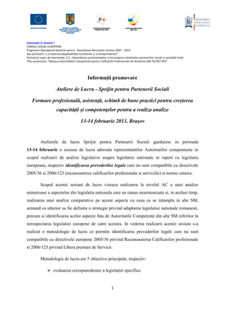SA3.1 Documente de informare 11-feb-2013 | PDF