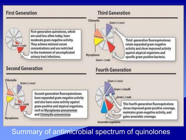 Antibiotic Quinolone history,classification,mechanism of action and ...