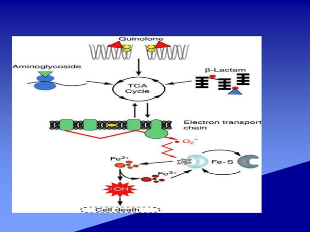 Antibiotic Quinolone history,classification,mechanism of action and ...