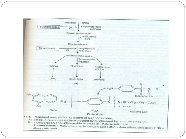 Antibiotic sulphonamides and potientiate sulpha history,classification ...