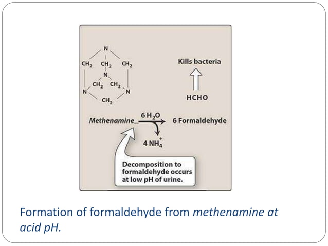 Antibiotic sulphonamides and potientiate sulpha history,classification ...