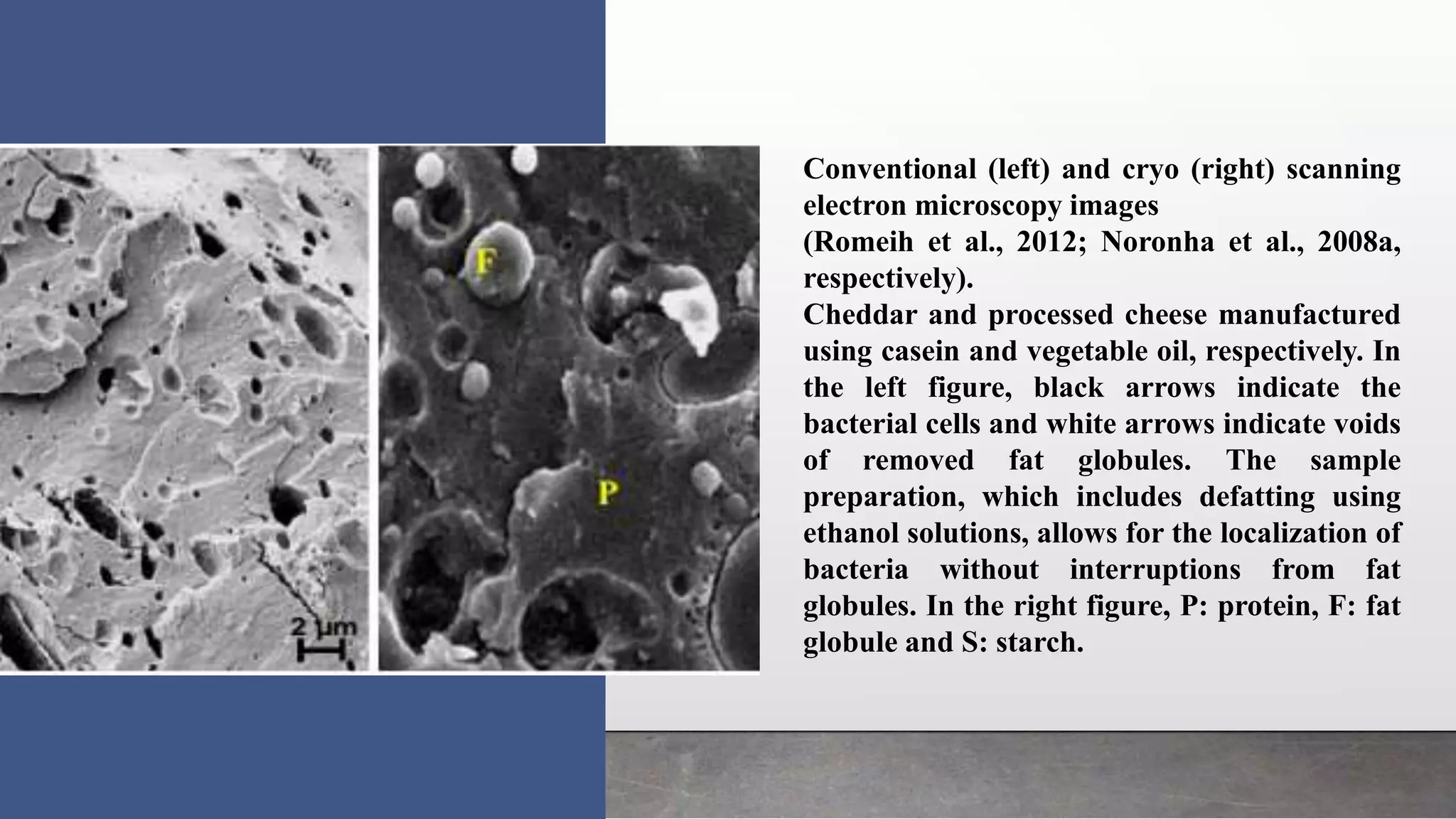 CHEESE STRUCTURE BY Saad | PPTX