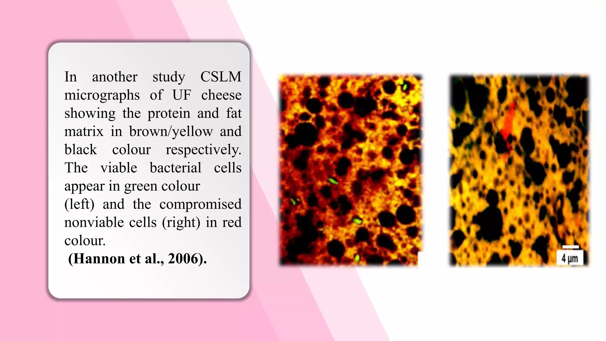 CHEESE STRUCTURE BY Saad | PPTX