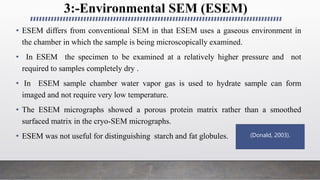 CHEESE STRUCTURE BY Saad | PPTX