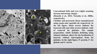 CHEESE STRUCTURE BY Saad | PPTX