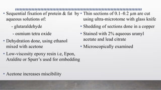 CHEESE STRUCTURE BY Saad | PPTX