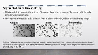CHEESE STRUCTURE BY Saad | PPTX