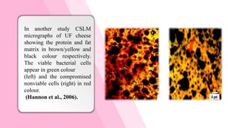 CHEESE STRUCTURE BY Saad | PPTX