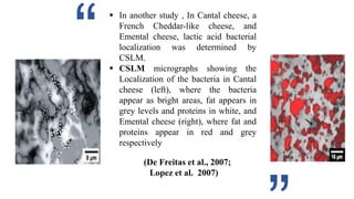 CHEESE STRUCTURE BY Saad | PPTX