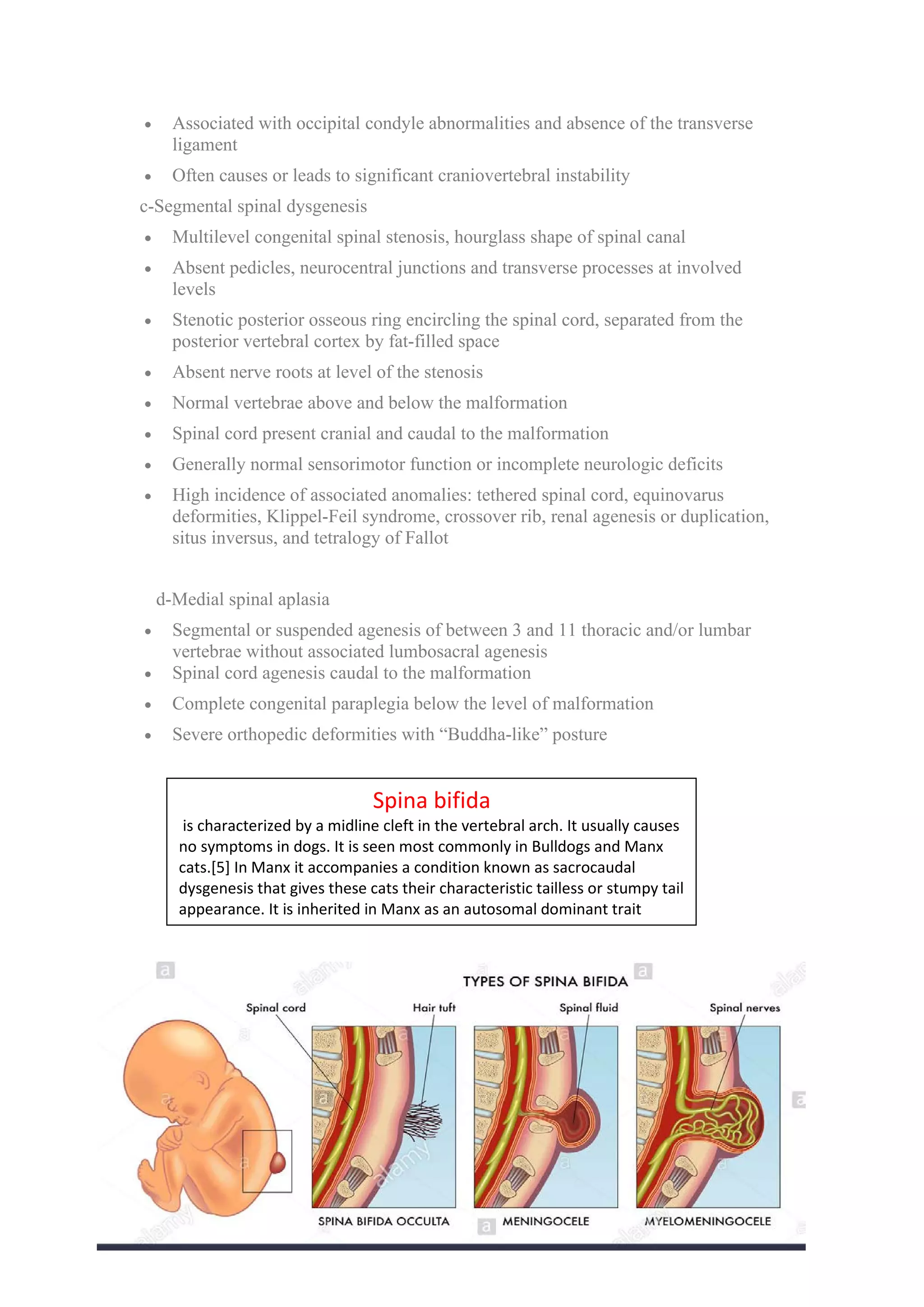 abnormal of vertebral column | PDF