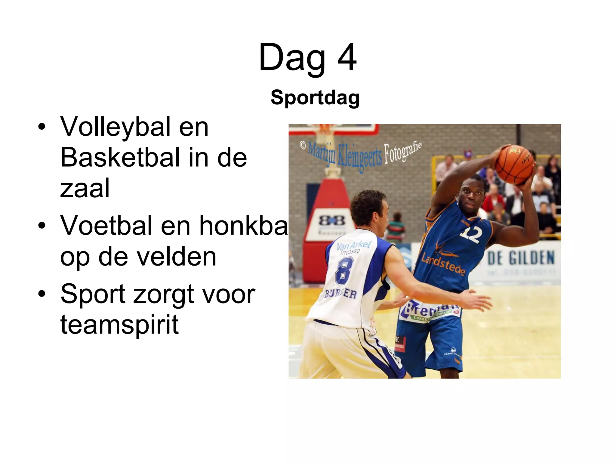 Saamhorigheid | PPT
