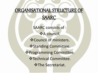 saarcppt-170924162341 (1).pdf