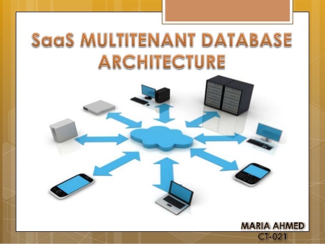 Saa S Multitenant Database Architecture 
