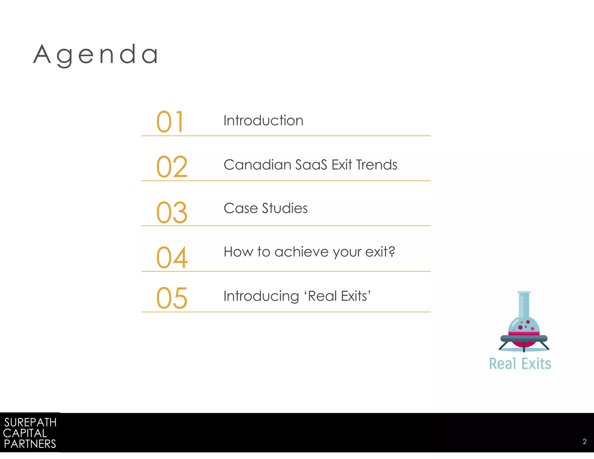 A look at Canadian SaaS Exit (SaaSNorth presentation) | PDF