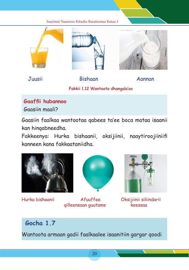Saayinsii Naannoo Kutaa-3.pdf