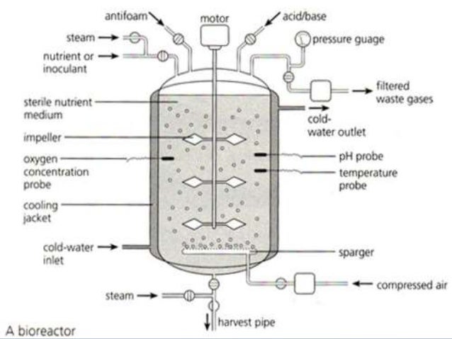 Bioreactor And Its Applications