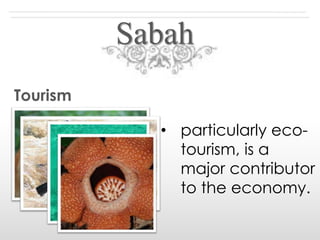 Sabah | PPTX