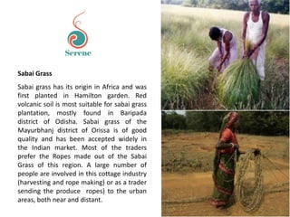 sabai catalogue 2019 (SERENE).pdf