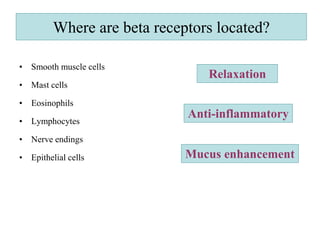 Short Acting Beta-2 Agonists (SABA) in Asthma | Jindal Chest Clinic ...