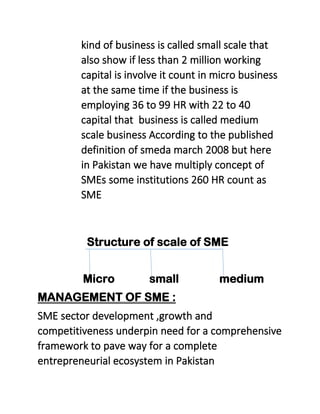 SME ,Scope of SME | PDF