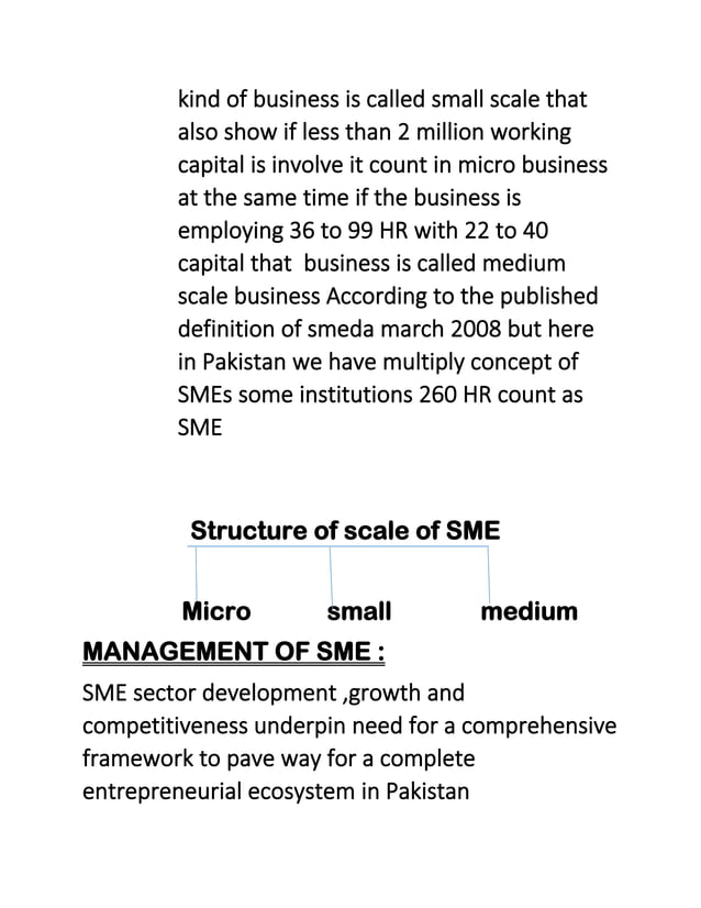 SME ,Scope of SME | PDF | Small and Medium-sized Business | Business