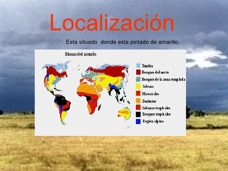 Sabana