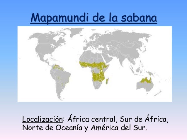 Sabana, pradera y desierto tropical