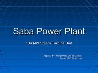 Saba Power Plant | PPS