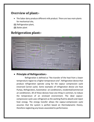 Sabardairy Training Report | PDF