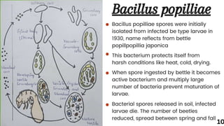 MICROBIAL BIOPESTICIDES AND TYPES (Bacillus thuringienisis , Bacillus ...