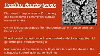 MICROBIAL BIOPESTICIDES AND TYPES (Bacillus thuringienisis , Bacillus ...