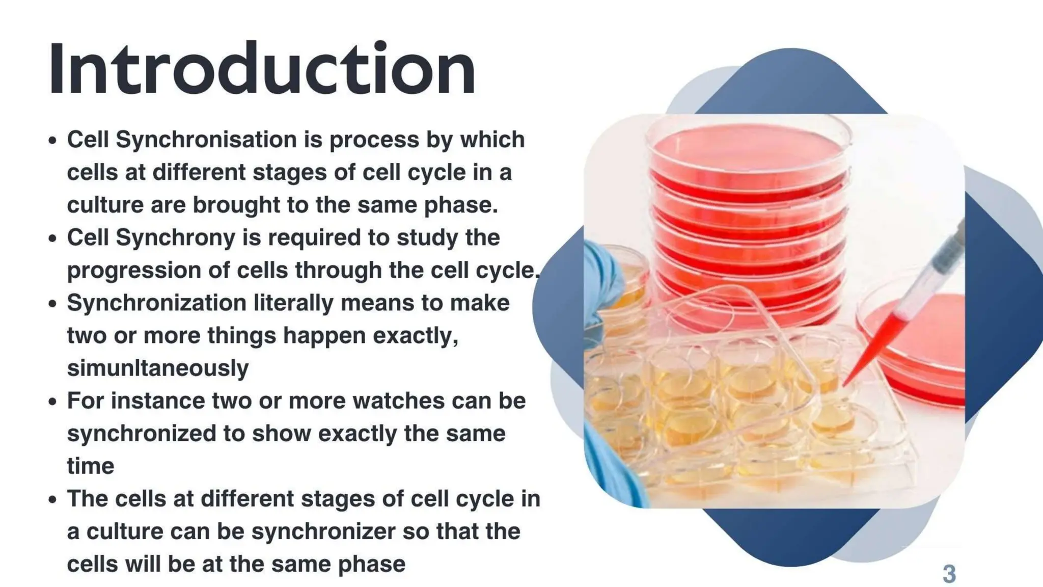 CELL SYNCHRONIZATION (PHYSICAL SEPARATION AND CHEMICAL BLOCKADE) | PPTX