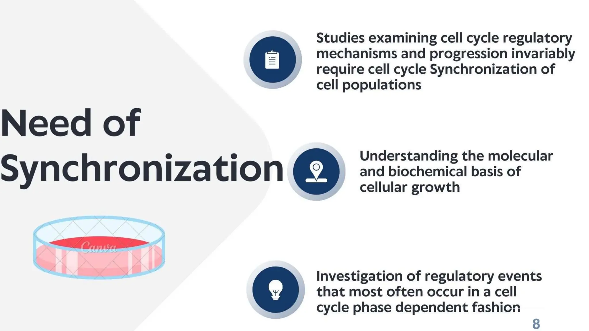 CELL SYNCHRONIZATION (PHYSICAL SEPARATION AND CHEMICAL BLOCKADE) | PPTX