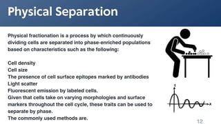 CELL SYNCHRONIZATION (PHYSICAL SEPARATION AND CHEMICAL BLOCKADE) | PPTX