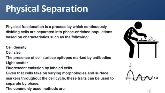 CELL SYNCHRONIZATION (PHYSICAL SEPARATION AND CHEMICAL BLOCKADE) | PPTX