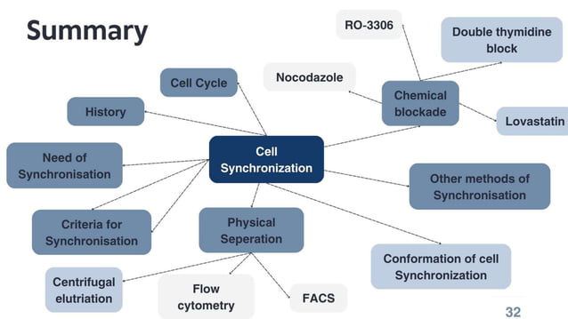 CELL SYNCHRONIZATION (PHYSICAL SEPARATION AND CHEMICAL BLOCKADE) | PPTX