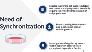 CELL SYNCHRONIZATION (PHYSICAL SEPARATION AND CHEMICAL BLOCKADE) | PPTX