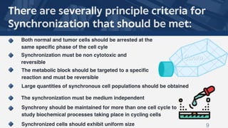 CELL SYNCHRONIZATION (PHYSICAL SEPARATION AND CHEMICAL BLOCKADE) | PPTX